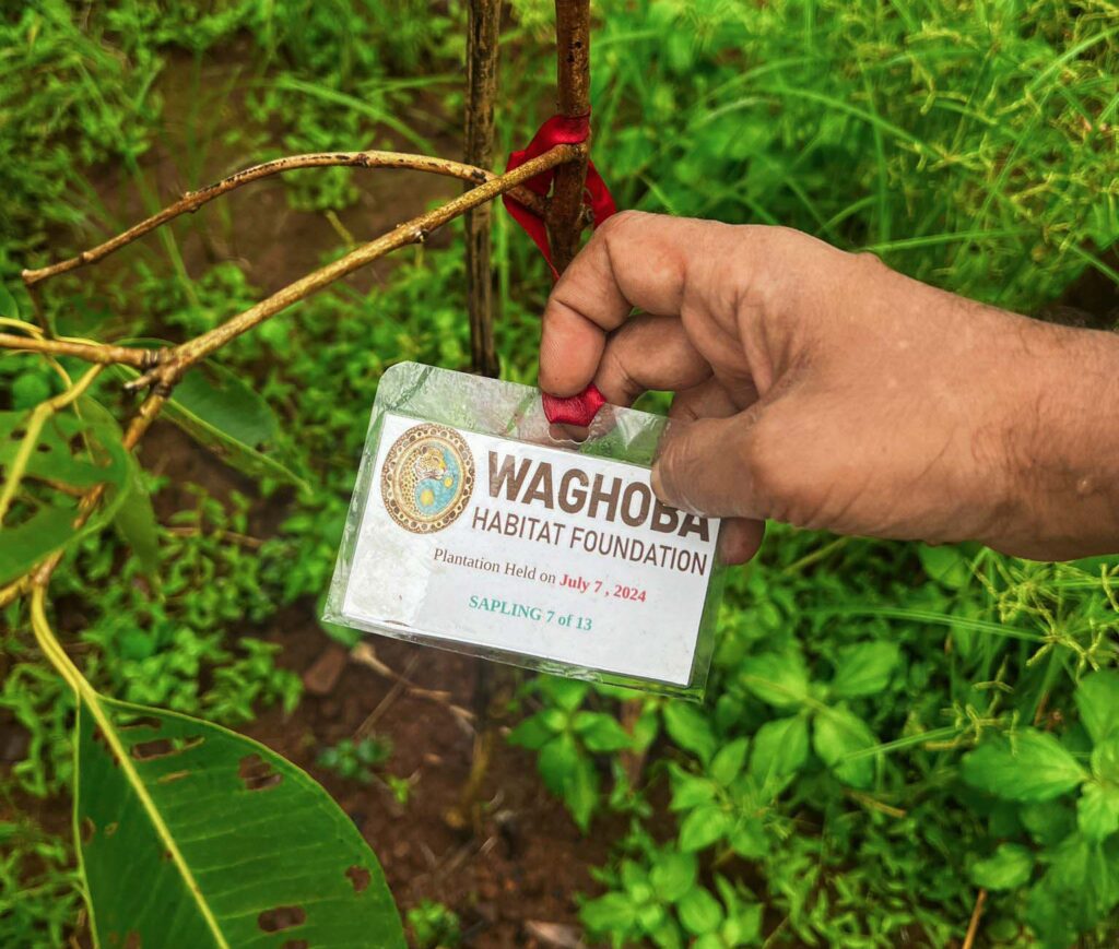 Donate - Support Waghoba Habitat Foundation